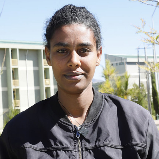 Home - Debark University official website