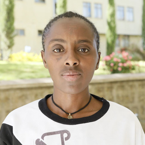 Home - Debark University official website