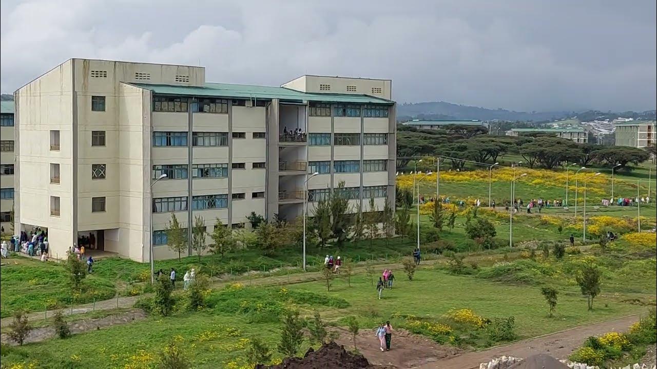 About Debark University - Debark University official website