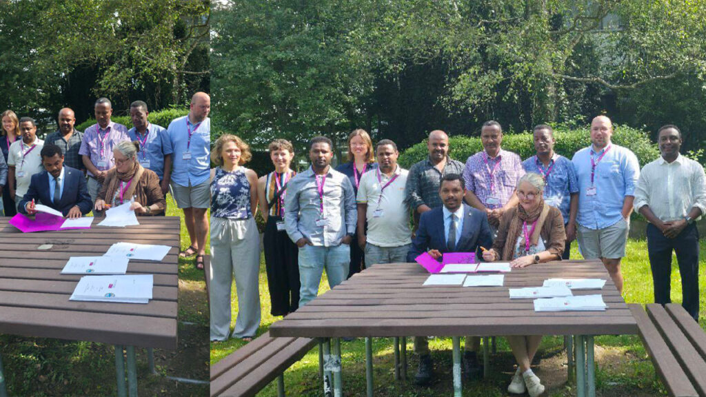 Home - Debark University official website